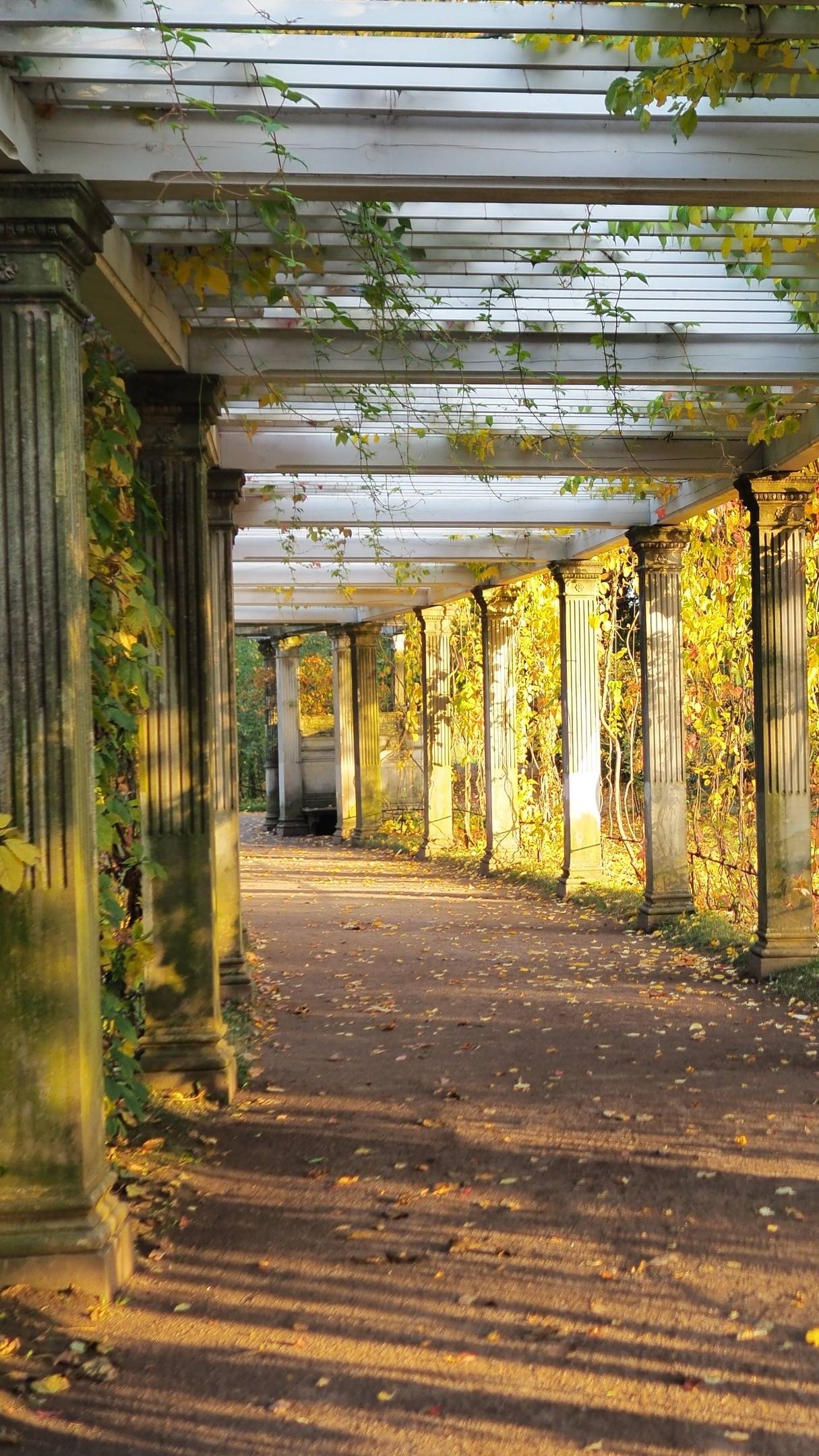 Осенние мотивы Петербурга | парфюмерная коллекция | создатель ароматов - Ксения Альтер