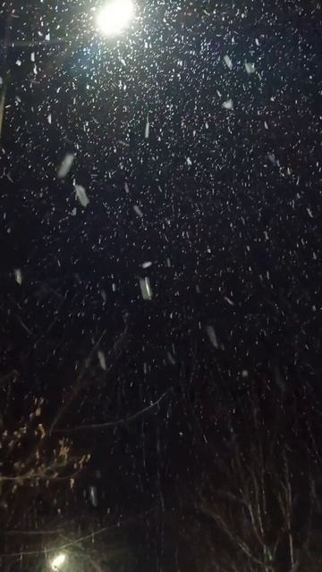 Максим Аверин