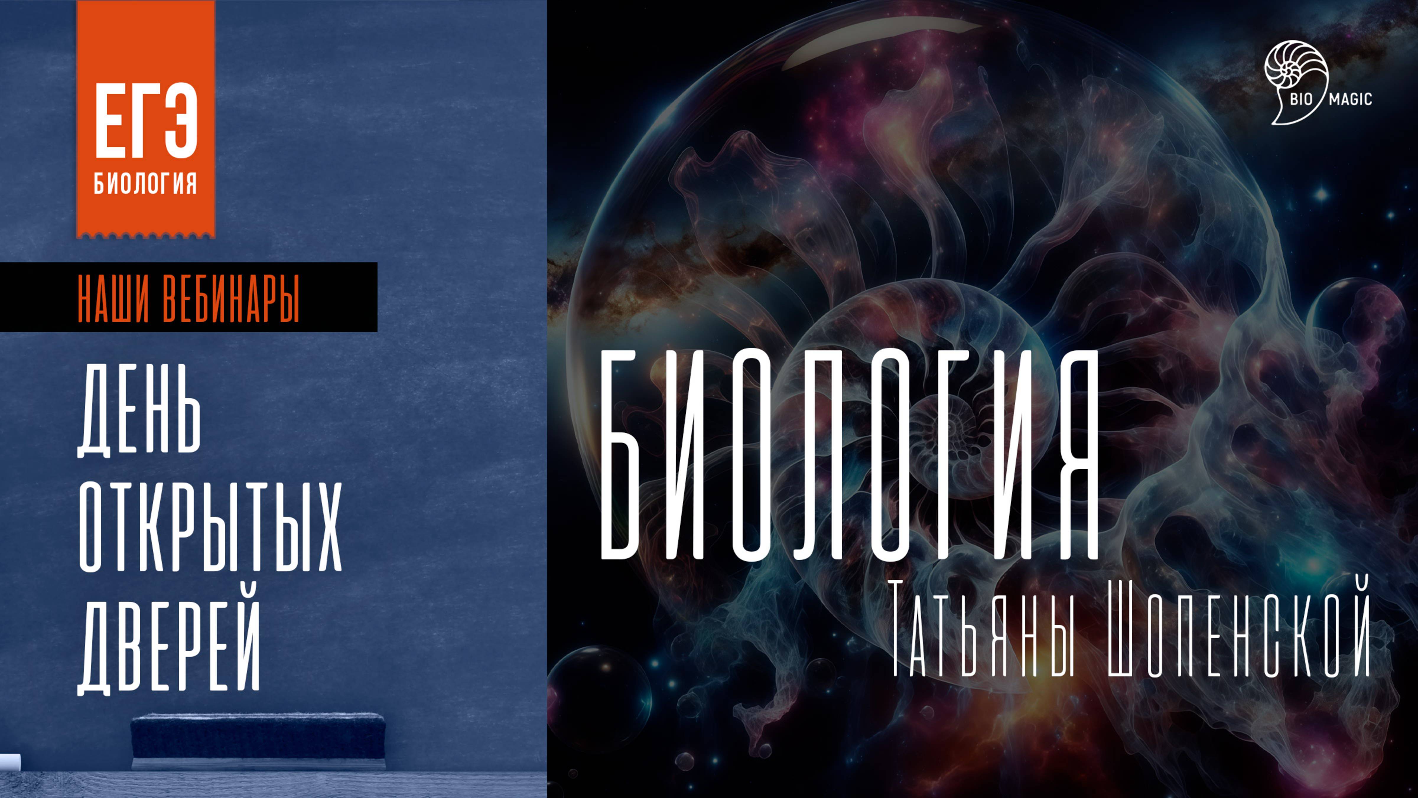 День Открытых Дверей биошколы Татьяны Шопенской | Bio-Magic