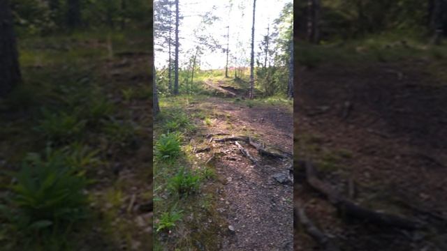 №97 Гармонизация и восстановление функций зрения