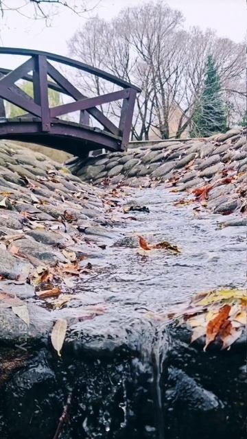 Осень в Поливаново