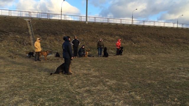 ВИК, иллюстрация