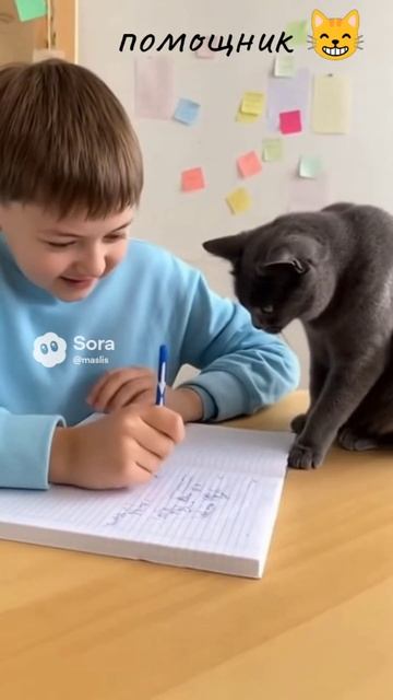 Помощник пушистый котька
