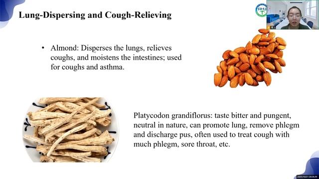 Medicinal plants for respiratory diseases