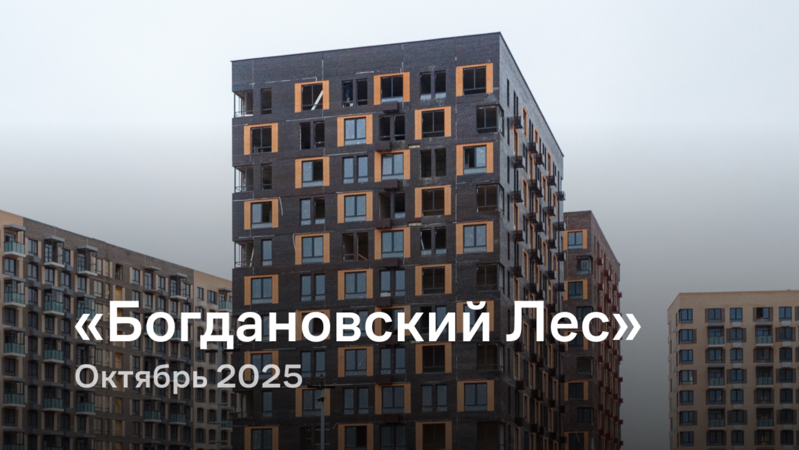 «Богдановский Лес» / октябрь 2025