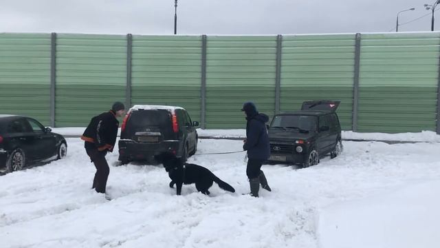 Енгар vs Сергей Горелов