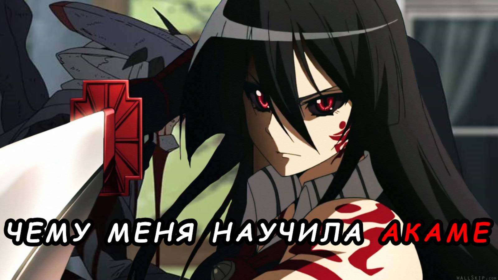 ЧЕМУ МЕНЯ НАУЧИЛА УБИЙЦА АКАМЕ? / ЧЕМУ МЕНЯ НАУЧИЛО АНИМЕ