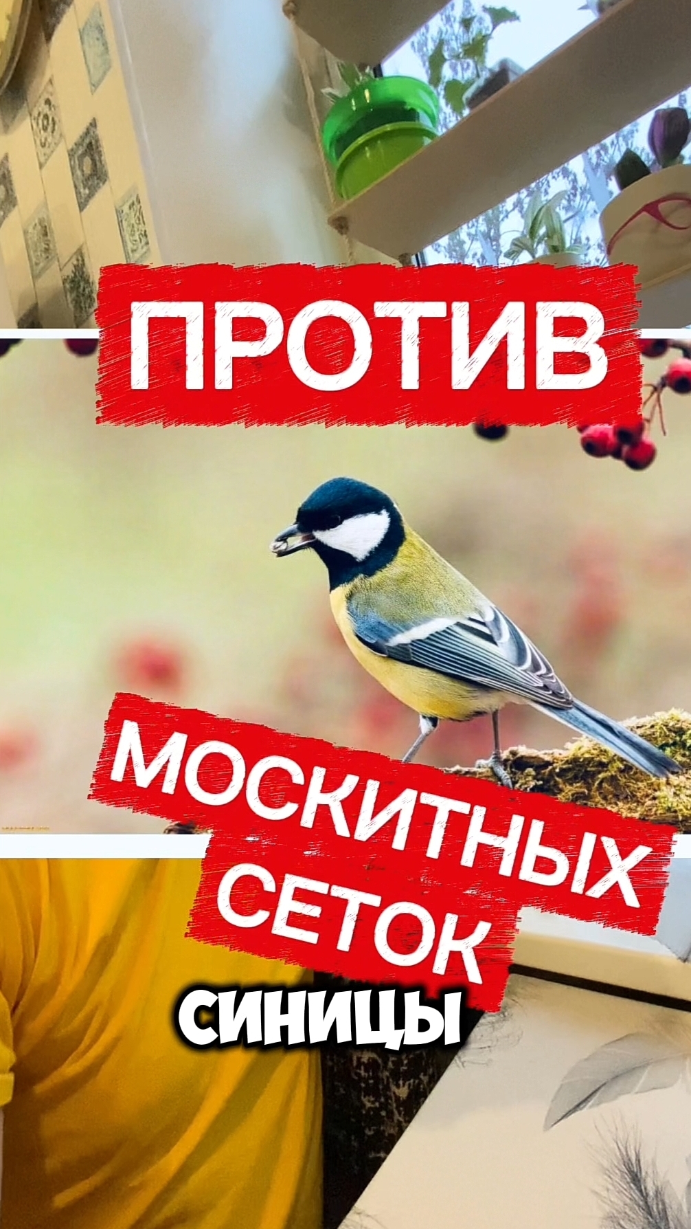 Птицы не портвут ЭТИ СЕТКИ!!!  Полотно москитной сетки, которое стоит выбрать ☝#москитныесетки
