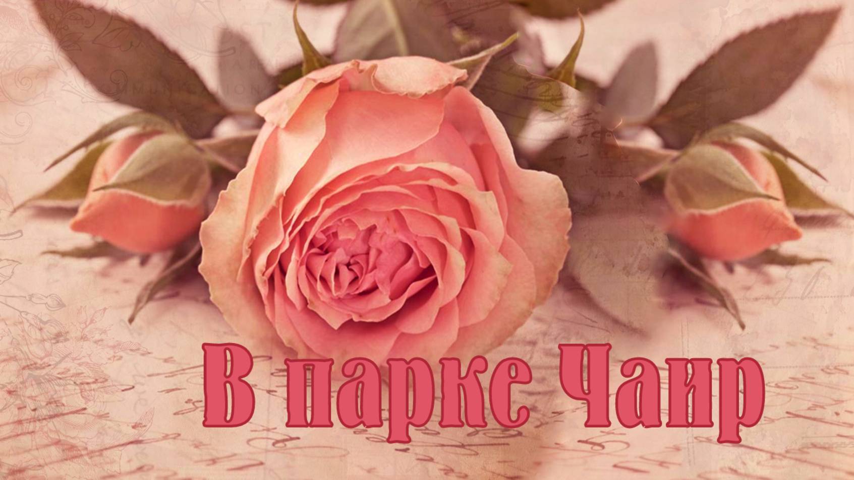 В парке Чаир