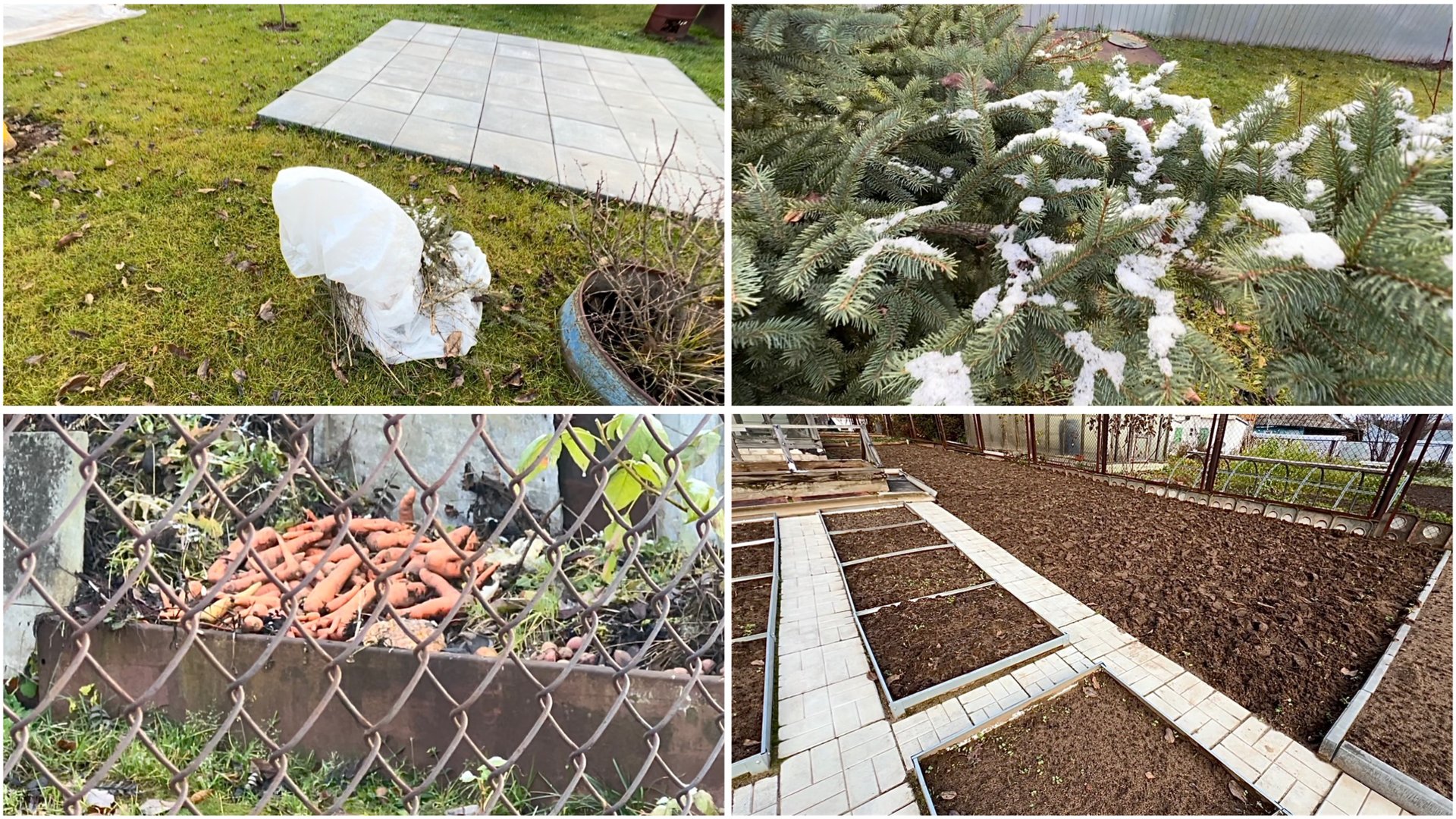 3 ноября. На даче. МИНИ ОБЗОР на начало ноября