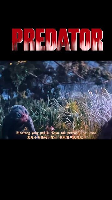 ИНТЕРЕСНЫЙ ЗВЕРЁК