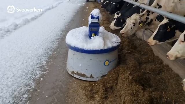 Робот подталкиватель кормов - лучшее решение для автоматизации кормового стола.