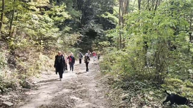 Геленджик. Поход к кресту на горе Острой, расположенной на Коцехурском хребте.