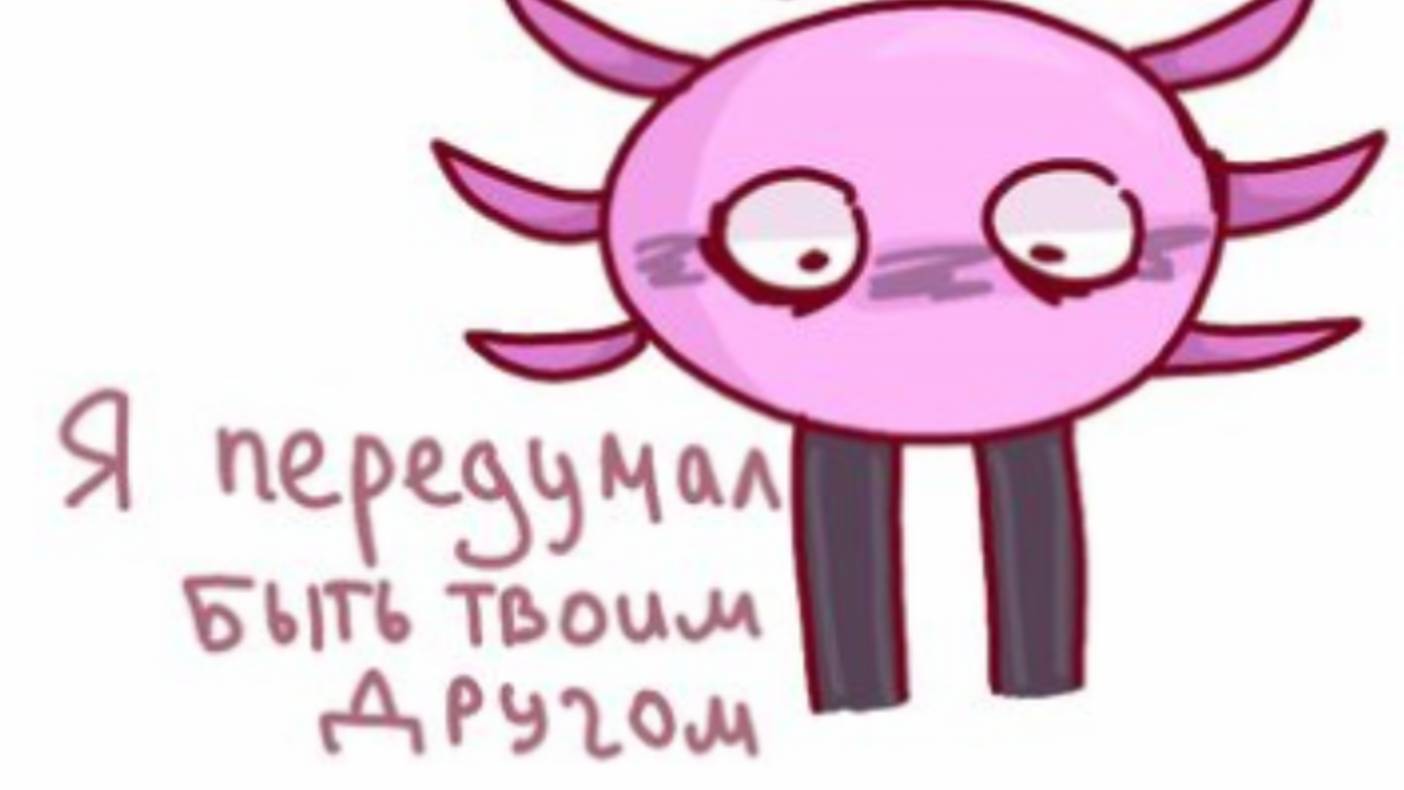 Мемы про кинито пет