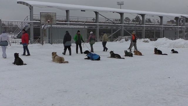 Выступление в Наро-Фоминске