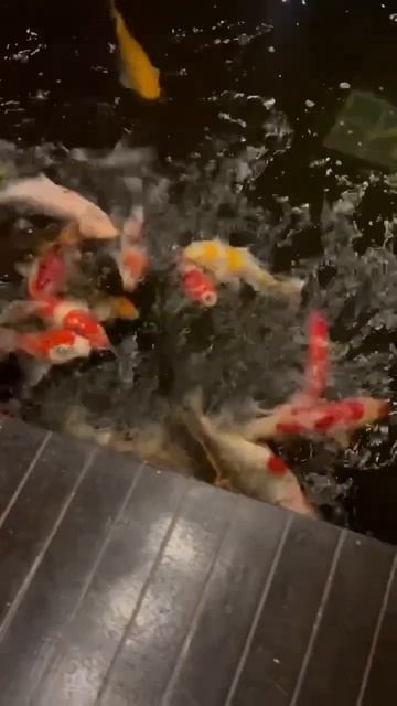 Завораживающая и фантастическая природа Таиланда восхищяет😊