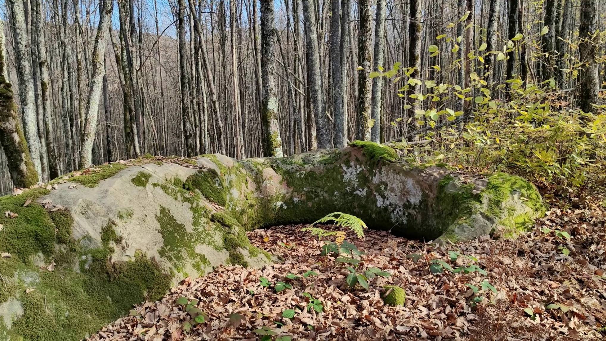 Видео 106 - Самый северный дольмен скальный полумонолит (Хребтовое)