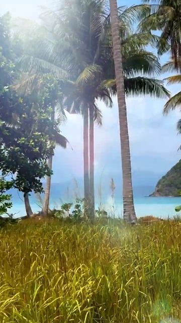 Таиланд - райское место для жизни! Подробнее на нашем канаде! #таиланд #паттайя #недвижимостьтаиланд