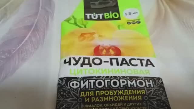 🩹 Фитогормон Чудопаста:	Реанимация растений