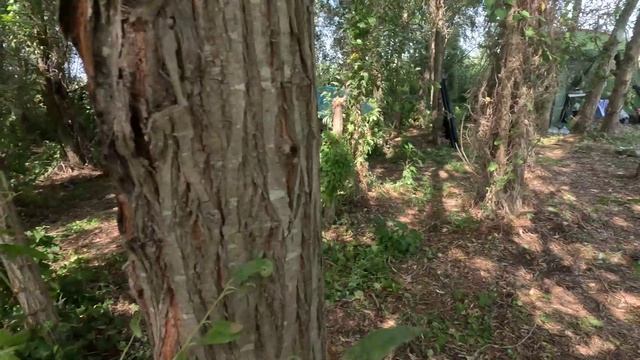 Астрахань 2025 - Часть 1