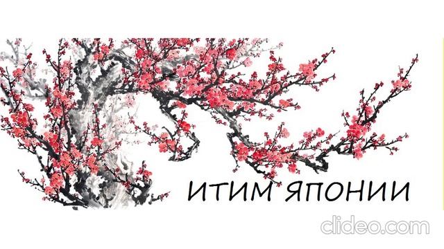 ИТИМ Японии