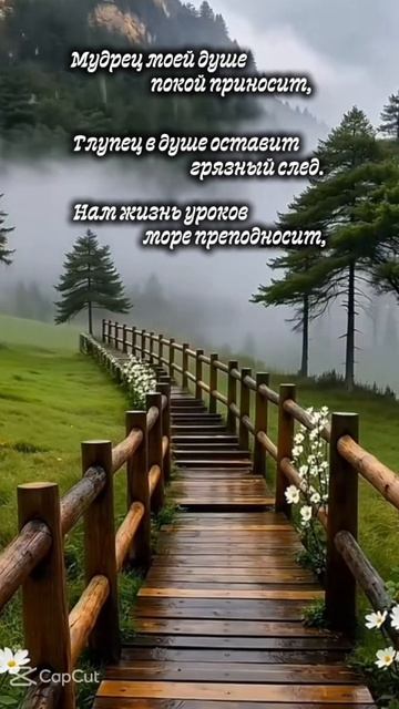 Момынов А.М. " Мудрец покой моей душе..."  #поэзия #музыка