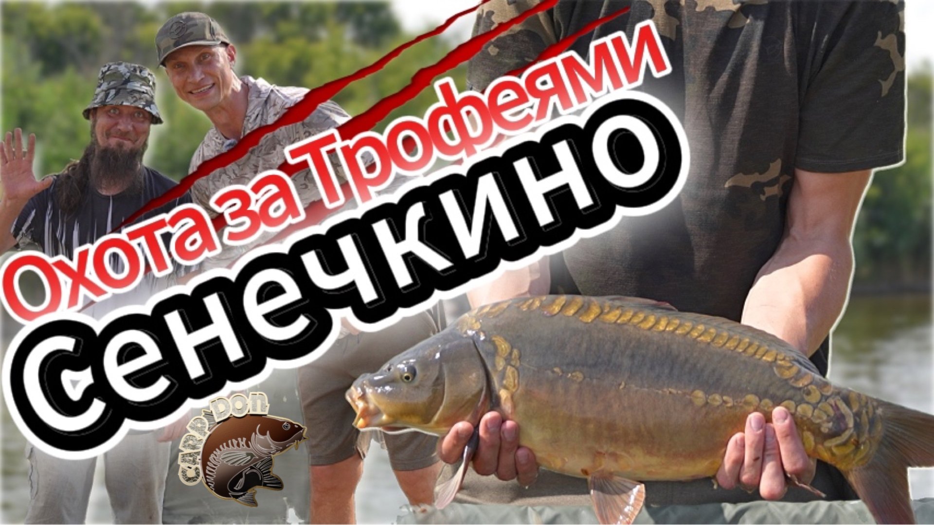 Охота за Трофеями Сенечкино. Карпфишинг