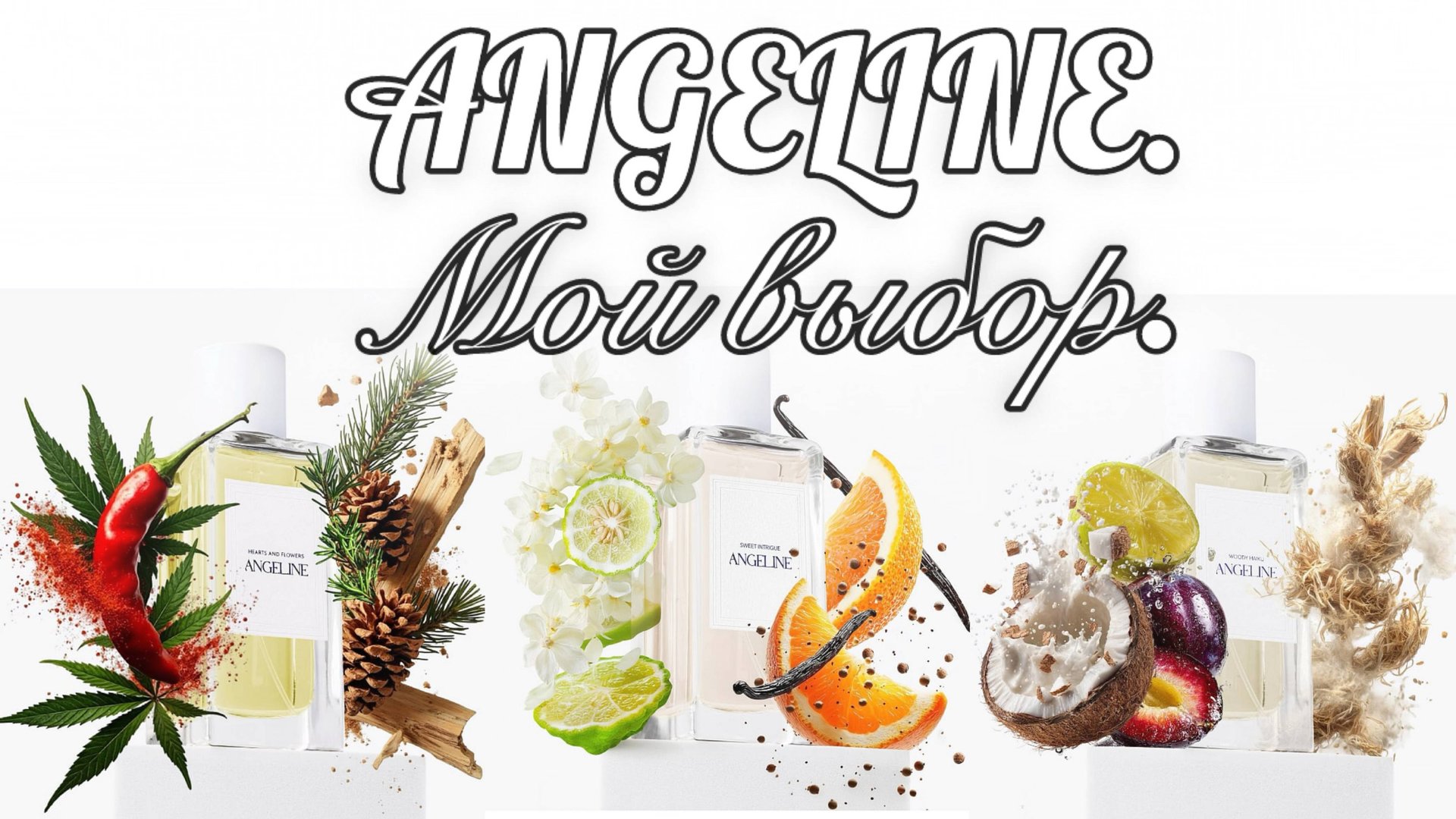 ANGELINE. Моё мнение. Мой выбор.