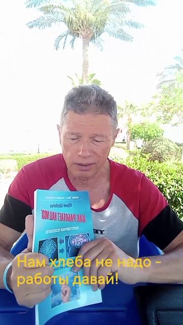 Работа над новой книгой "Мозг и Психика".