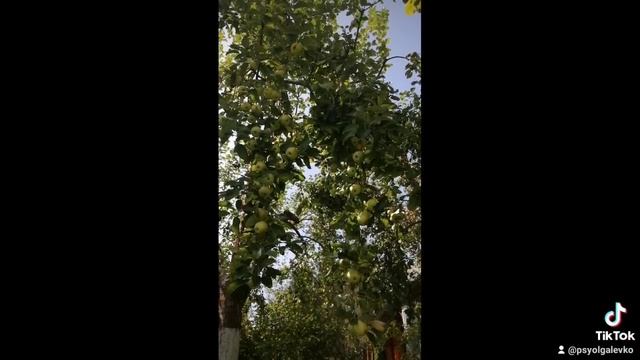 Ресурсные прогулки. Август 2024