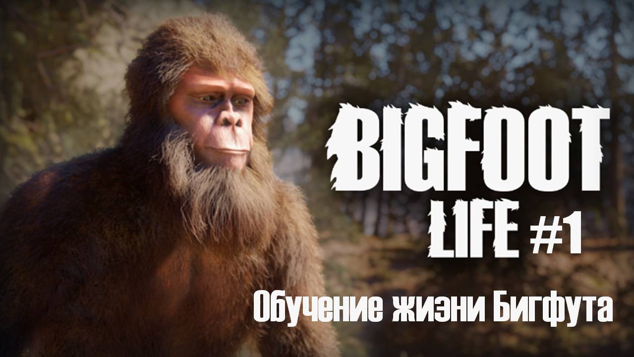 Bigfoot Life #1 / Обучение жизни Бигфута