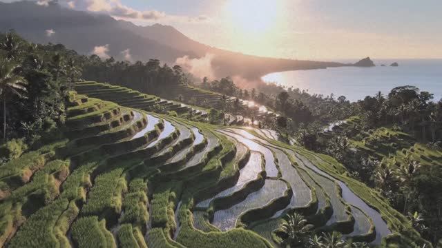 Anton Retunskikh - The Divine Protocol Trailer