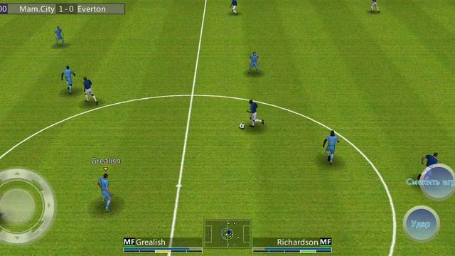 АПЛ. 17 раунд. Манчестер Сити - Эвертон (1-0).