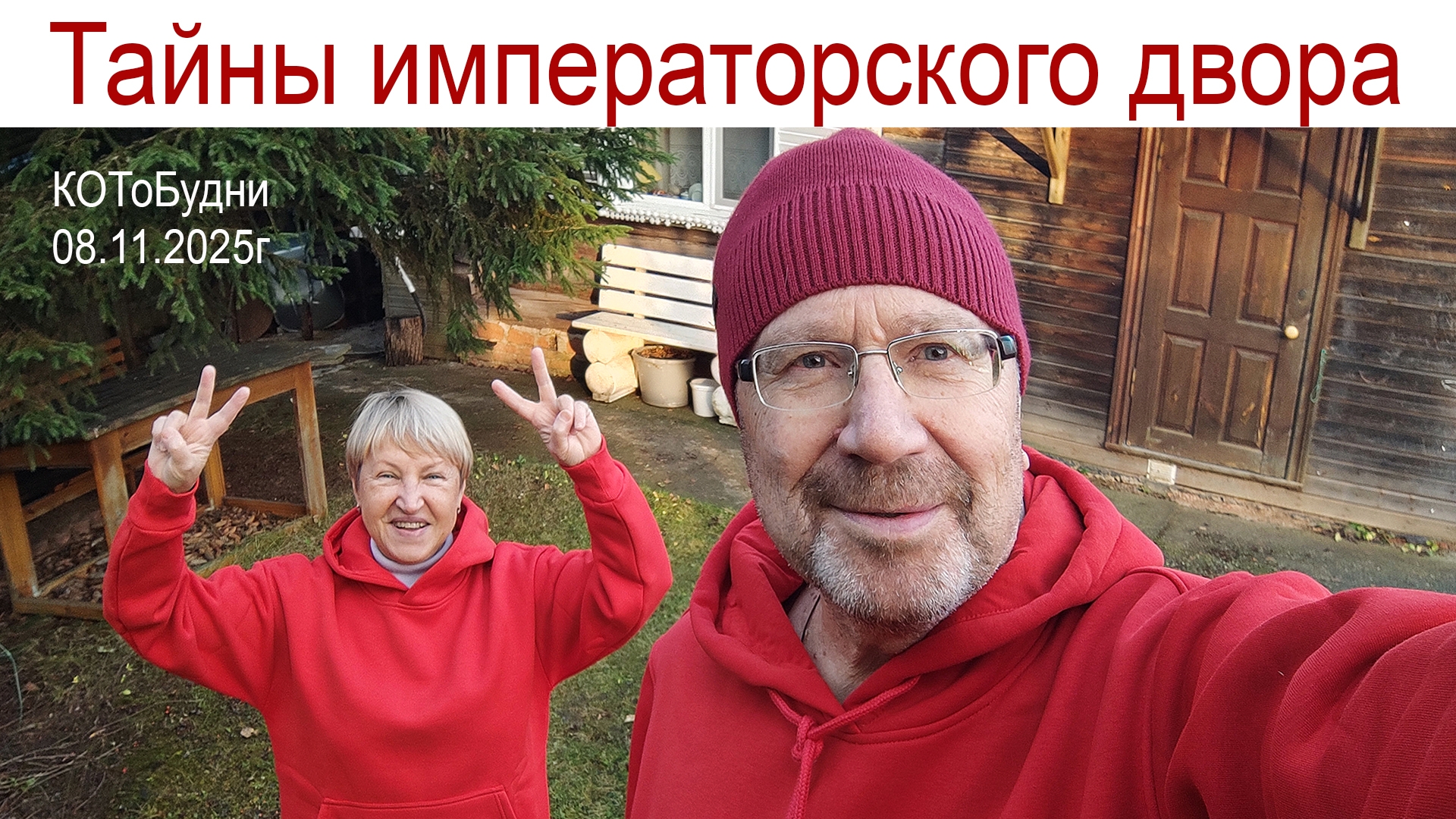 Тайны - как загадки в "Мурзилке"... или КОТоБУДНИ начала ноября, 2025 г.