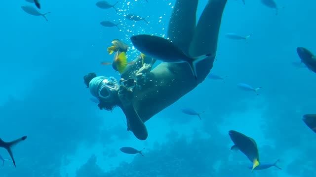 Египет - что посмотреть и куда сходить в Хургаде - багги, квадроциклы, батискаф, верблюды