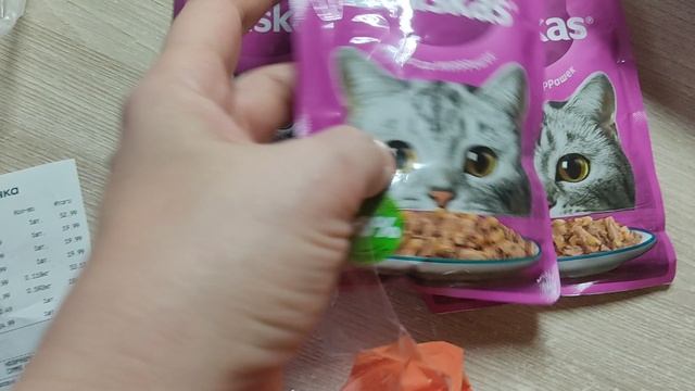 ВЛОГ Ёжики в тумане