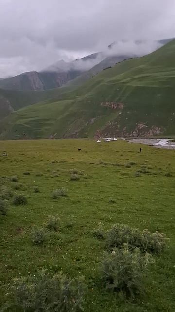 Вдохновение