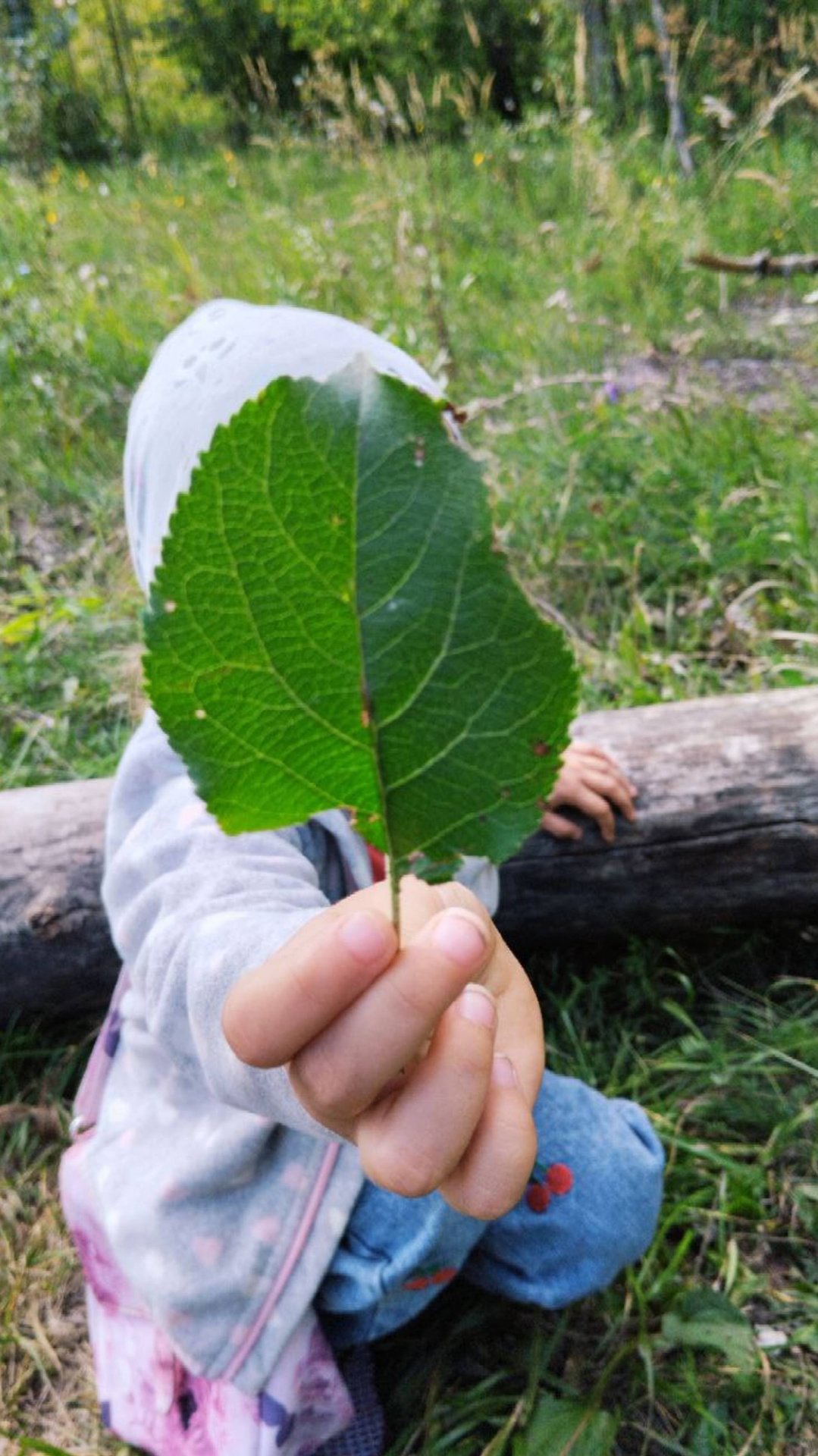 Милана и Айлин