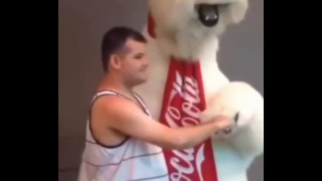 Белый медведь на фотосессии