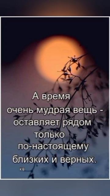 #мысли #цитаты #katyboro #реки #умныемысли #shorts #ai #aivideo #мыслиожизни