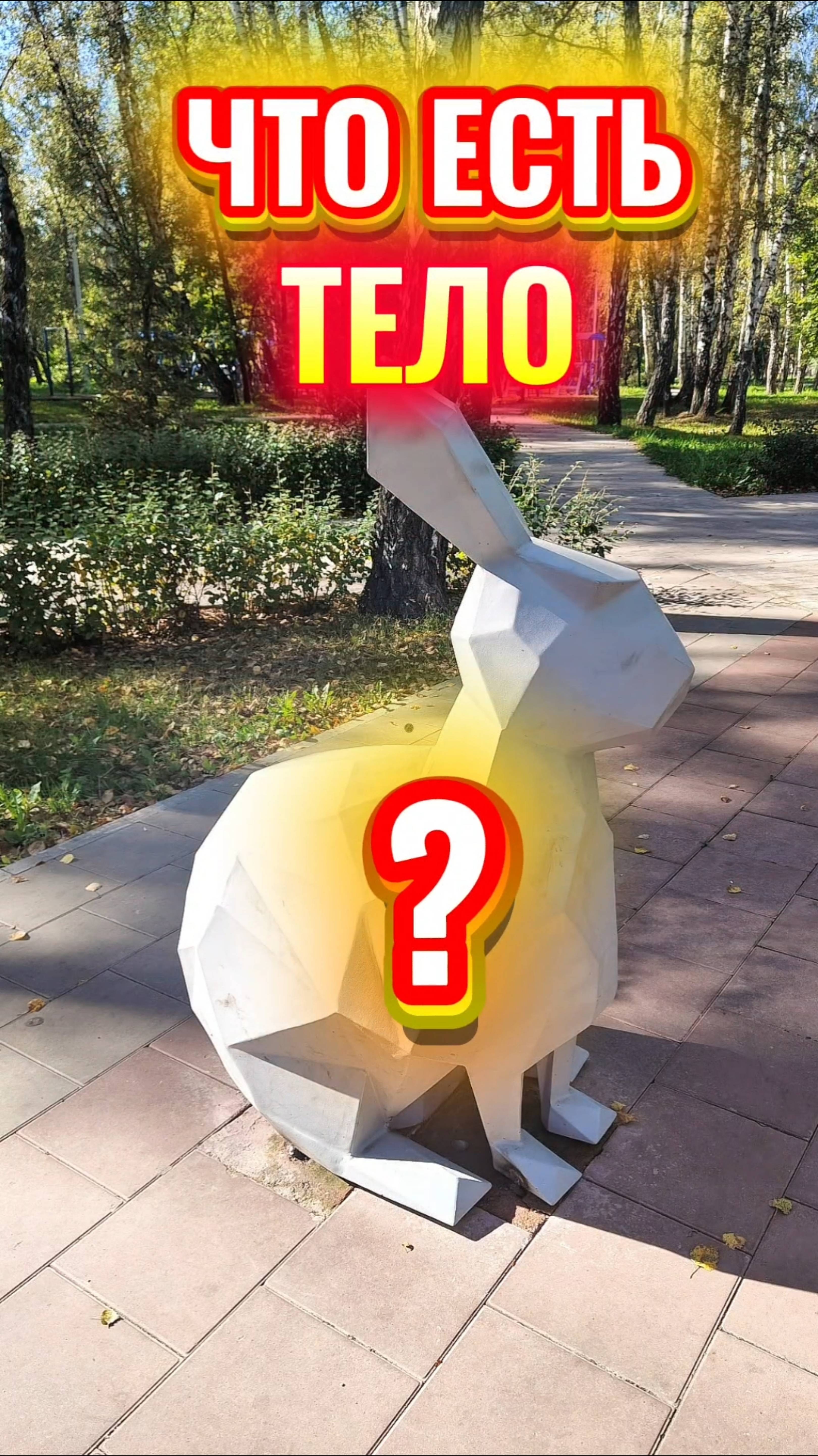 ЧТО ЕСТЬ ТЕЛО?