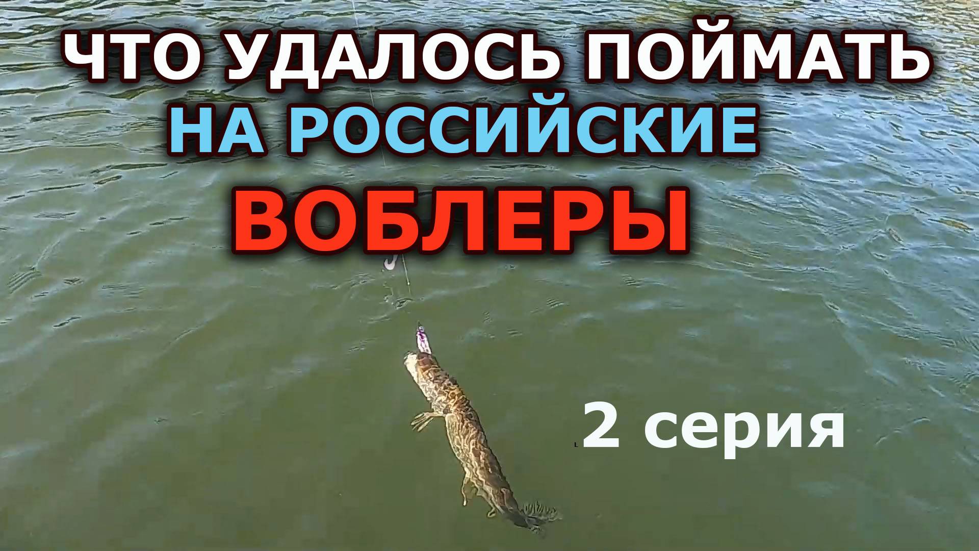 Воблеры Люре Макс на щуку и окуня во время рыбалки. Показываю, что поймал и какие есть недостатки.