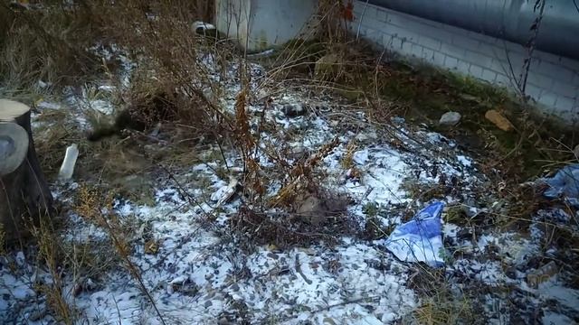 Чёрный охотник (Black Hunter)