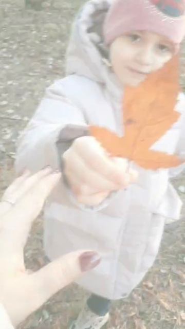 Видео WhatsApp 2025-10-26 в 16.48.34_98b9121b