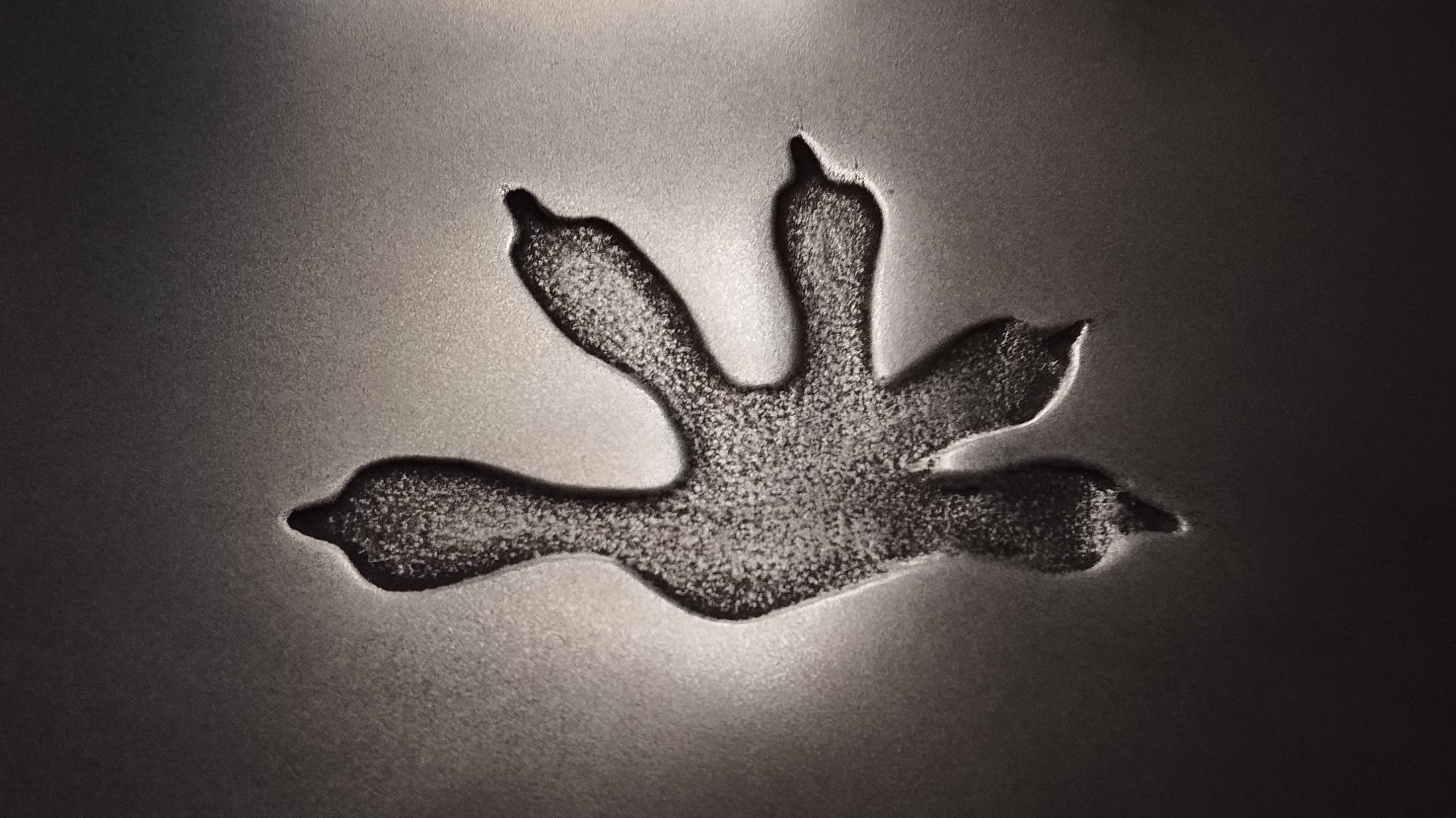 Интерьерная картина "Геккон за стеклом"