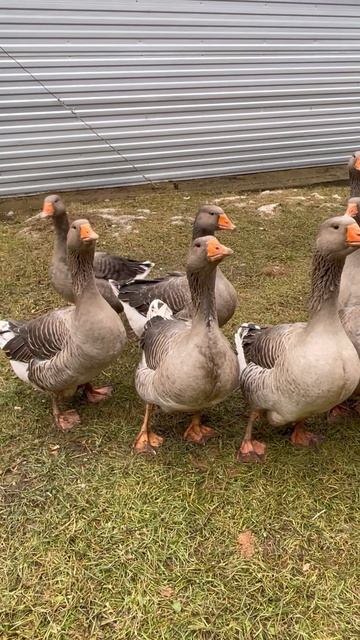 Когда говорил не в тему...