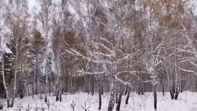 Иркутская трасса в октябре