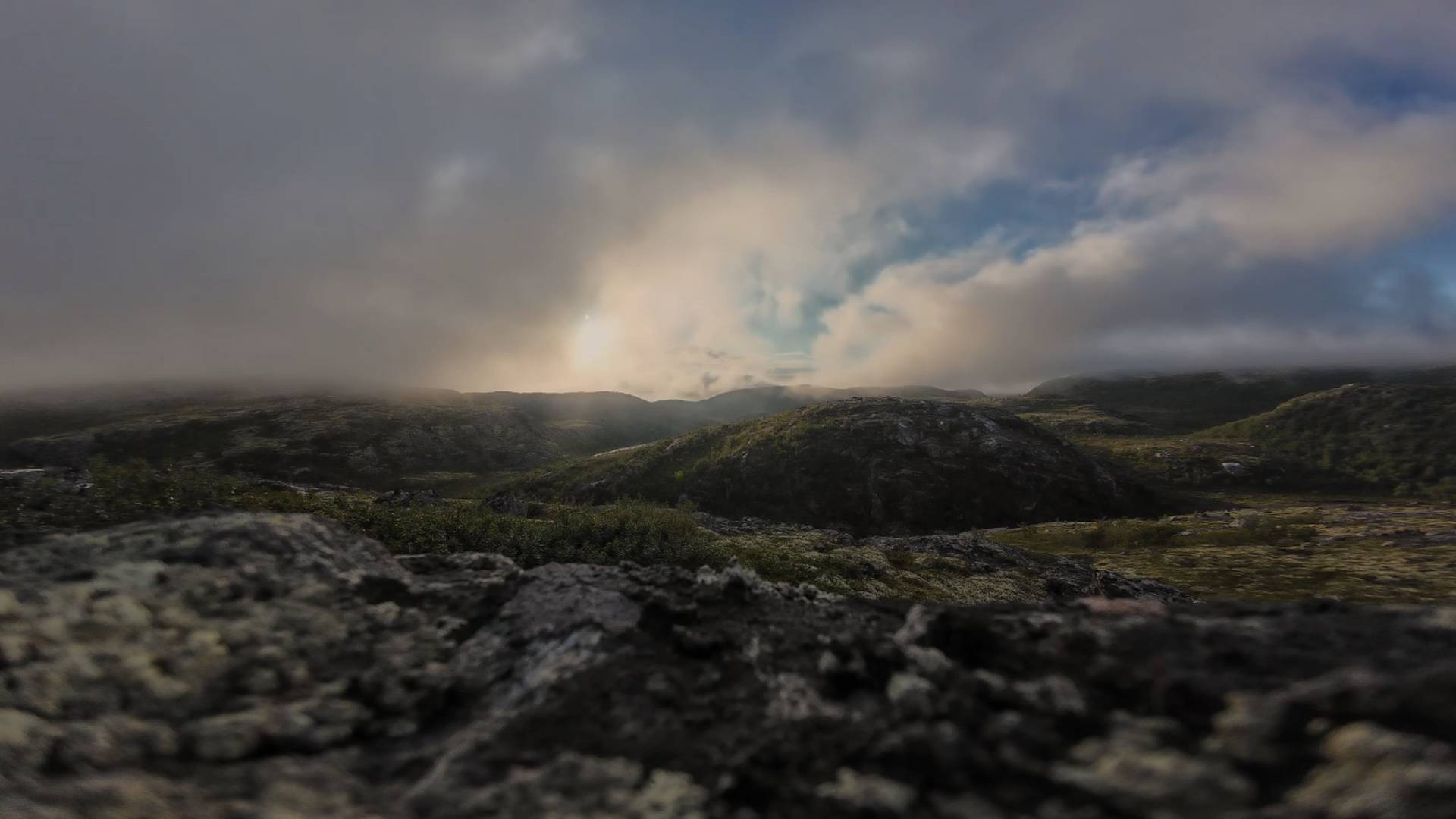 Аномалия Чёрный туман. Иной разум.