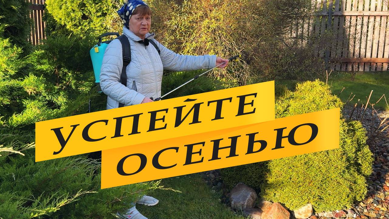 Обязательная обработка декоративных растений.