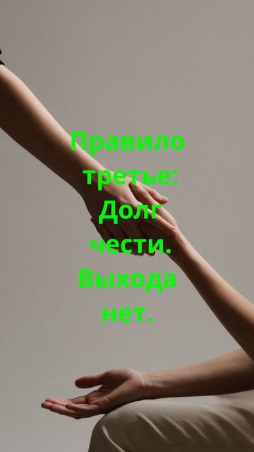 Каменные кошки 8 #КаменныеКошки